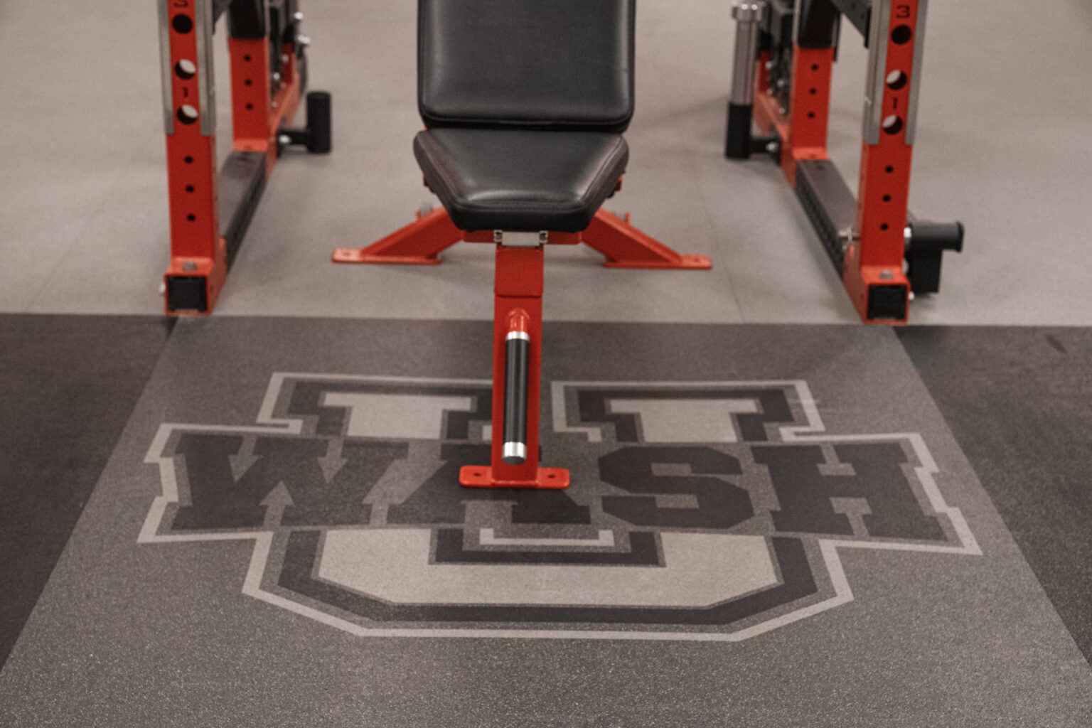 Washington University in St. Louis Weight Room - Samson