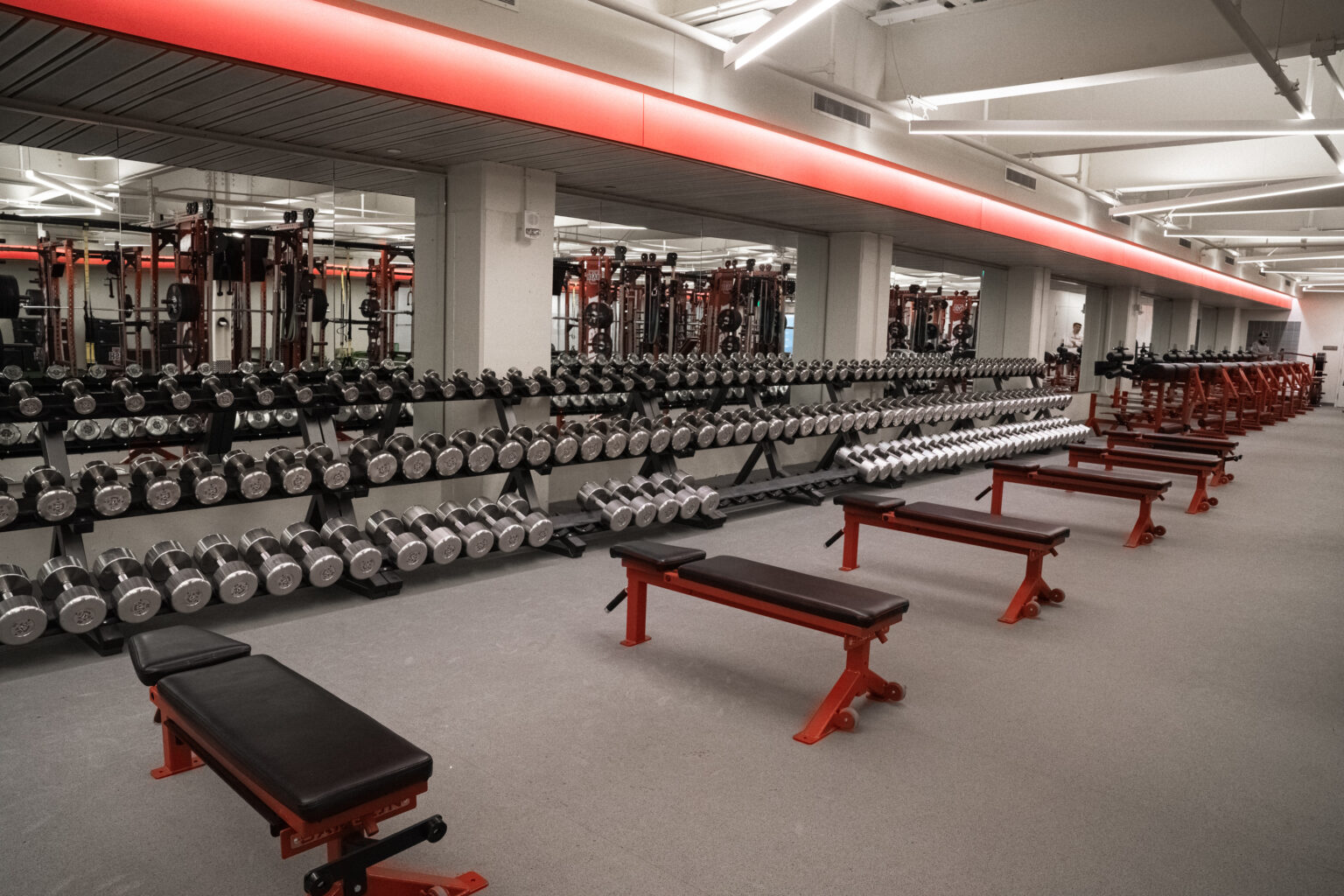 Washington University in St. Louis Weight Room - Samson